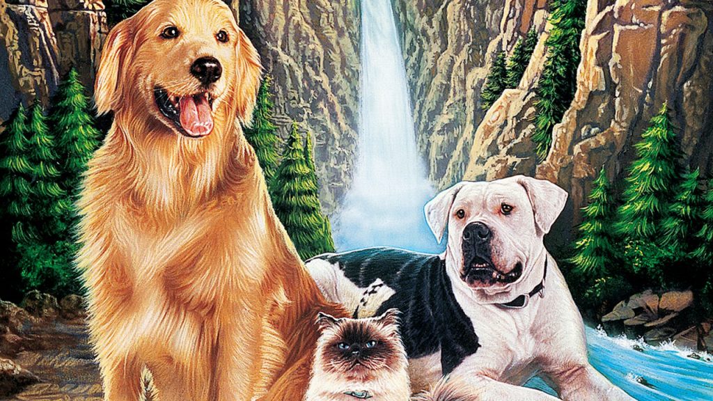 Filmy o psoch Top 10 filmov o psoch film o psovi - Topden.sk