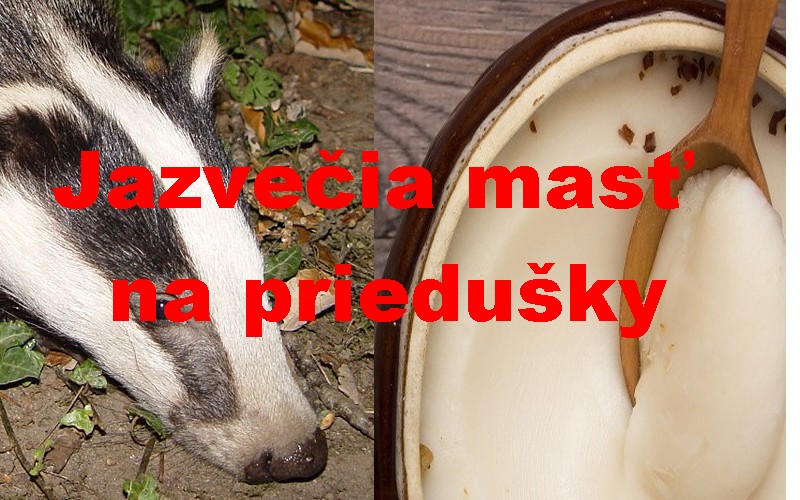 Masť na priedušky - najlepšia masť na priedušky - Topden.sk